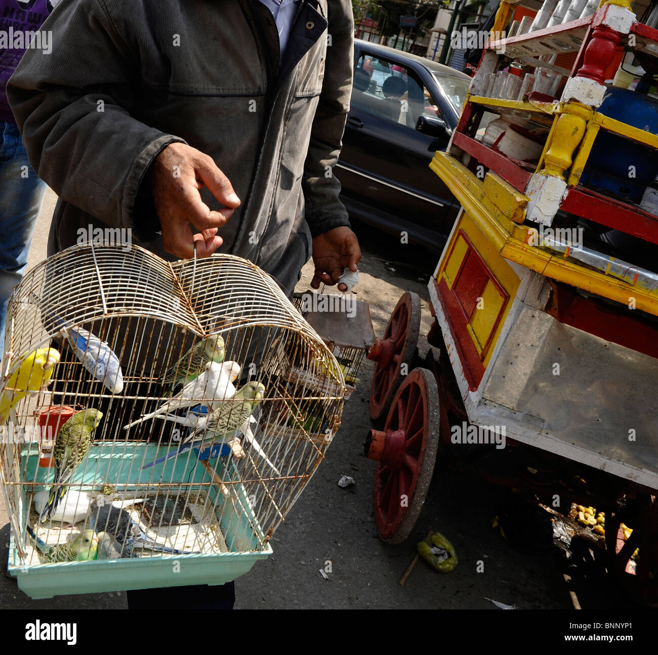 Man carrying bird cage hi-res stock photography and images - Alamy