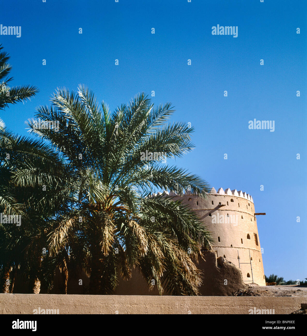 Abu Dhabi UAE Al Ain Hili Fort Palm Trees In Oasis Stock Photo - Alamy