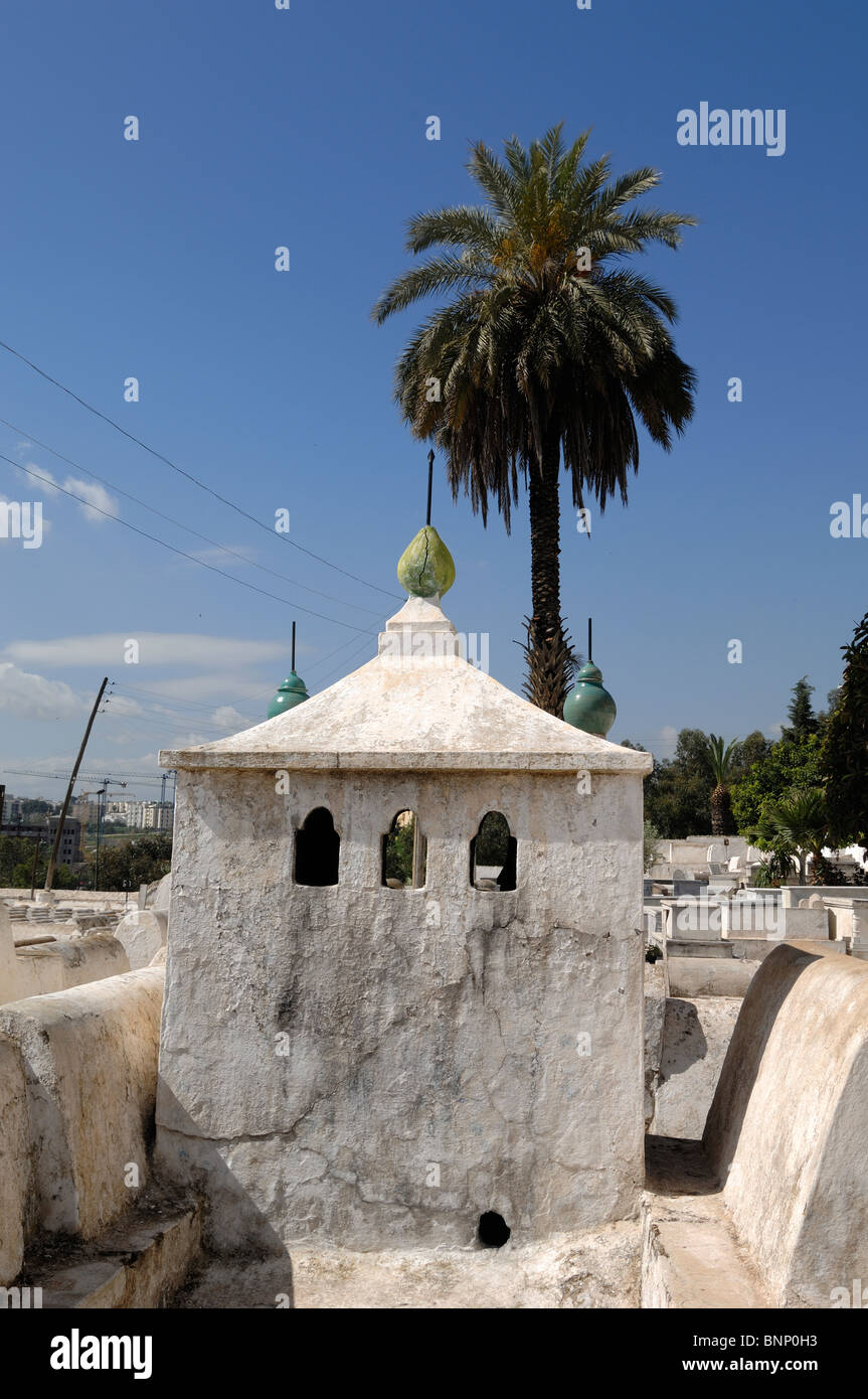 Whitewashed Tombs Whitewashed Tombs