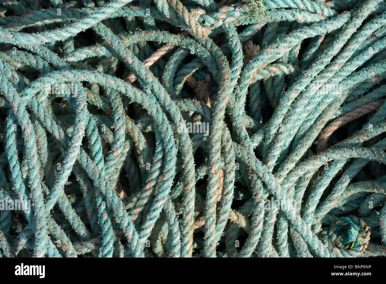 still life of lots of green fishing rope Stock Photo - Alamy