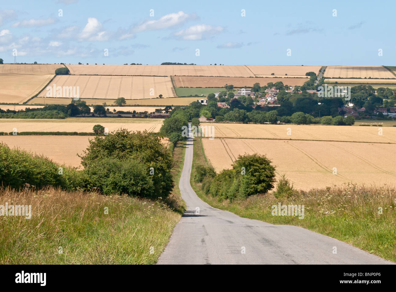 Uk crop production hi-res stock photography and images - Alamy