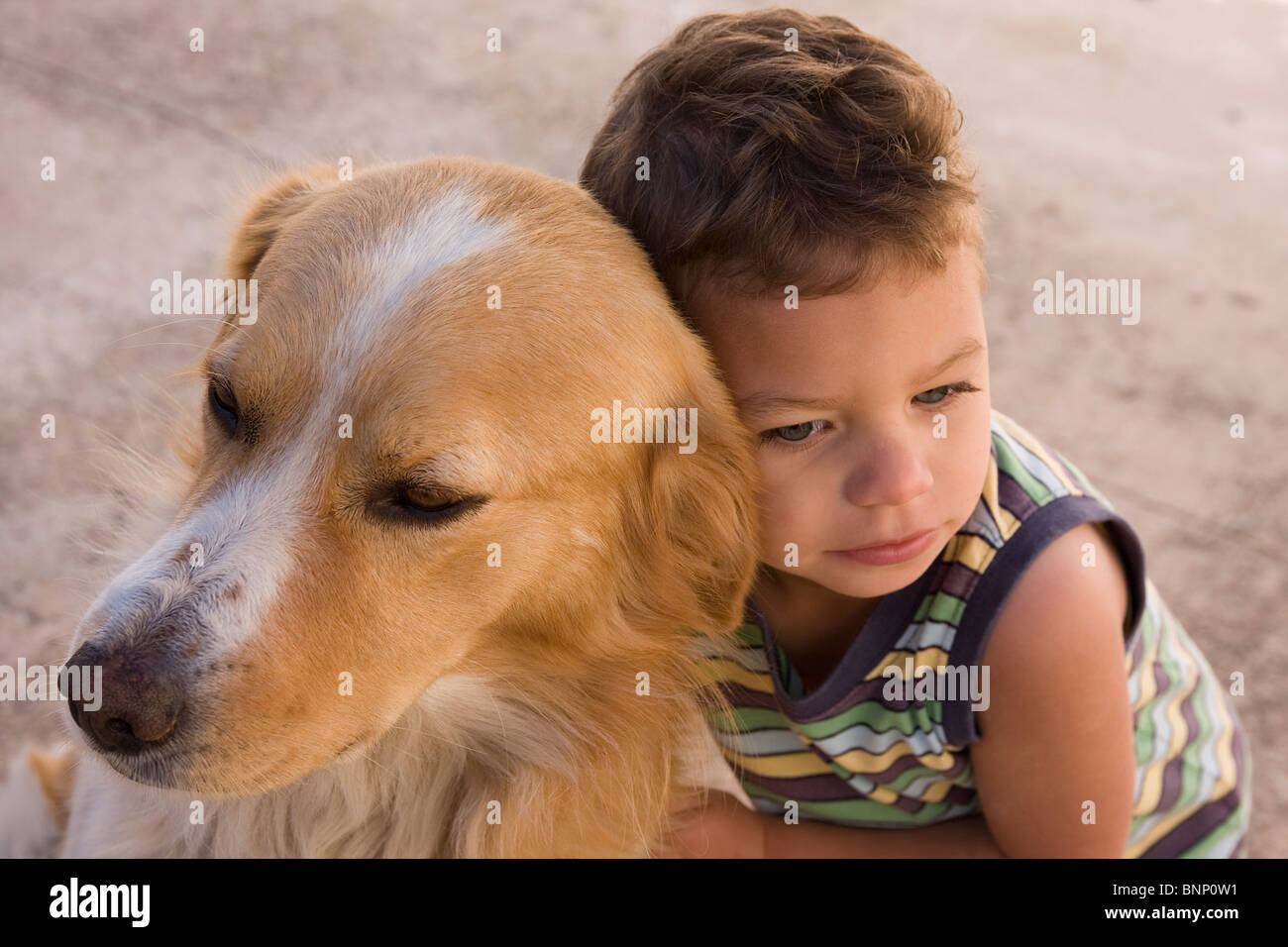Toddler with large dog hi-res stock photography and images - Alamy