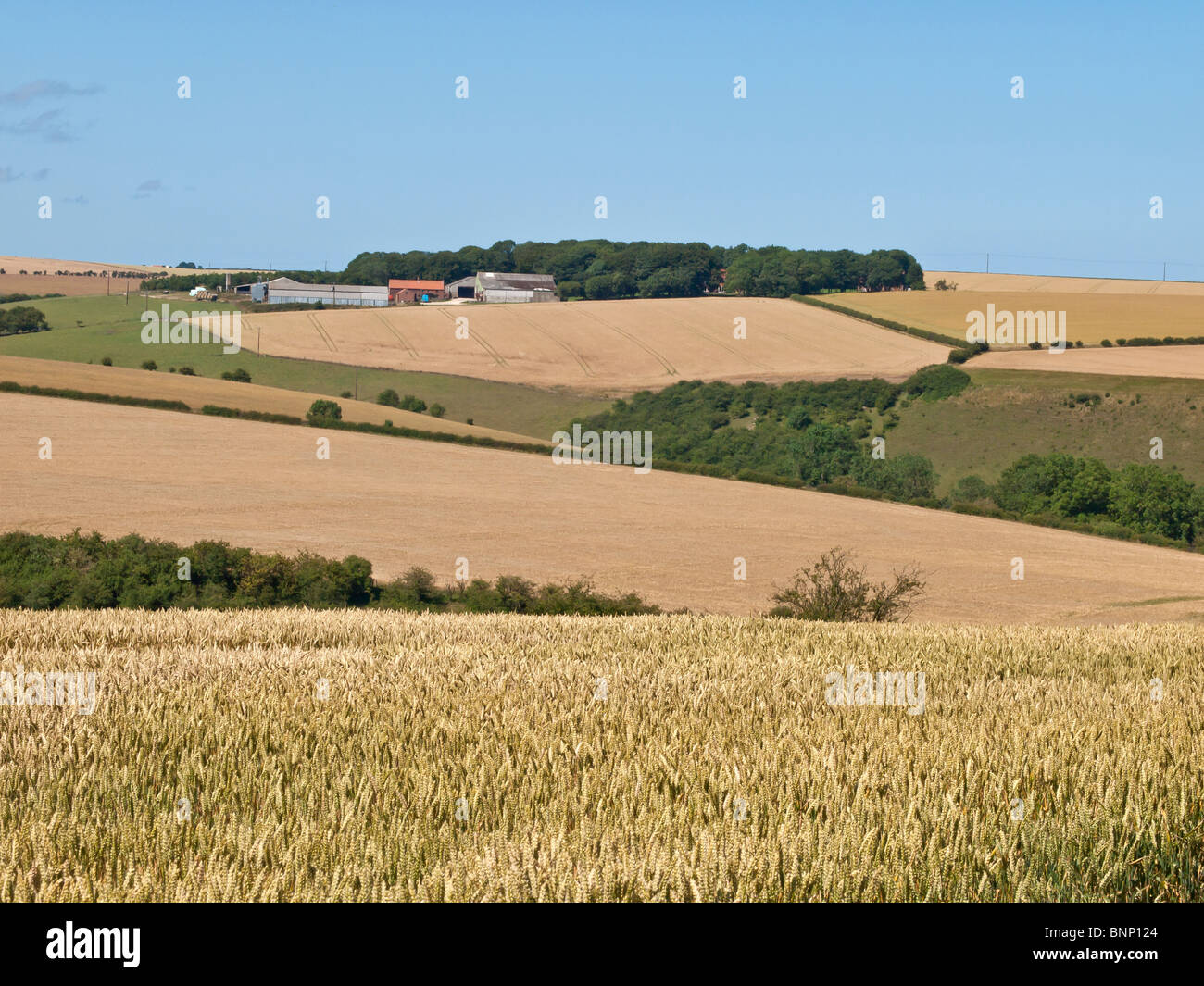 Uk crop production hi-res stock photography and images - Alamy