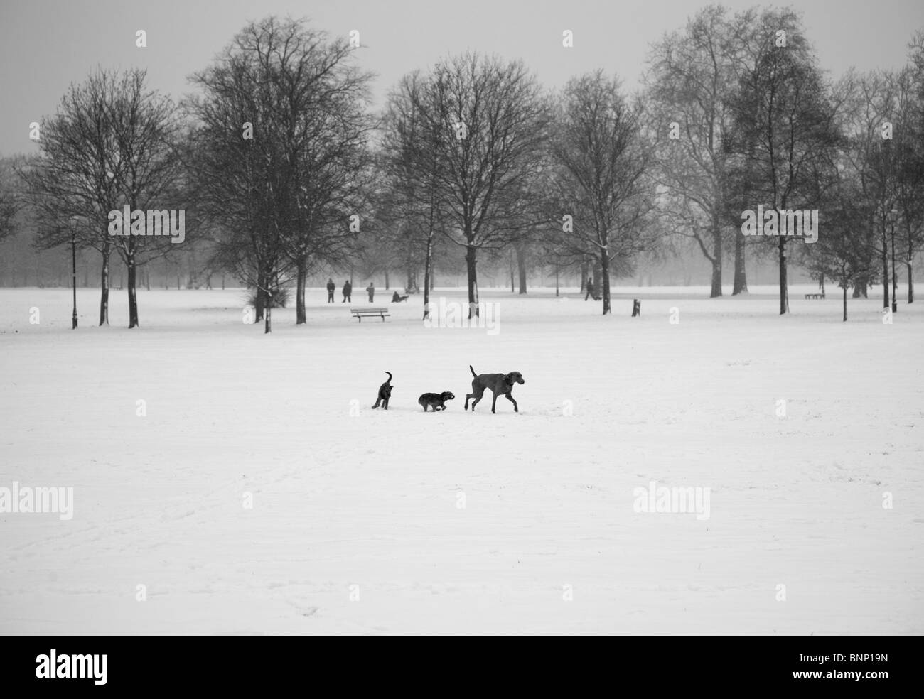 Clapham Common in the snow Stock Photo - Alamy
