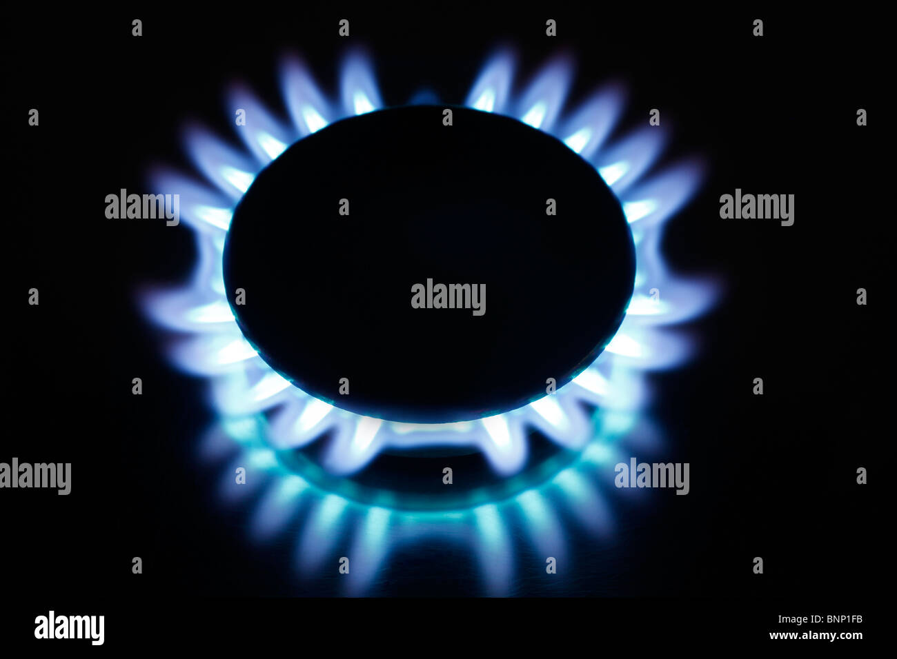 Beautiful kitchen blue gas flames burning, with dark background. Great ...