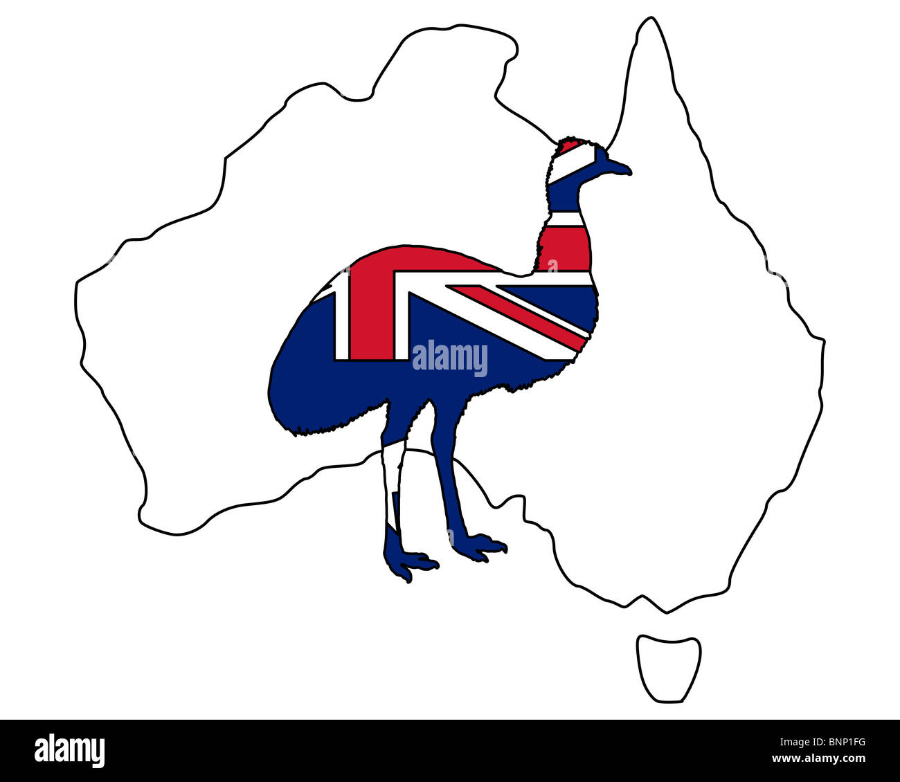 Blue emu Cut Out Stock Images & Pictures - Alamy