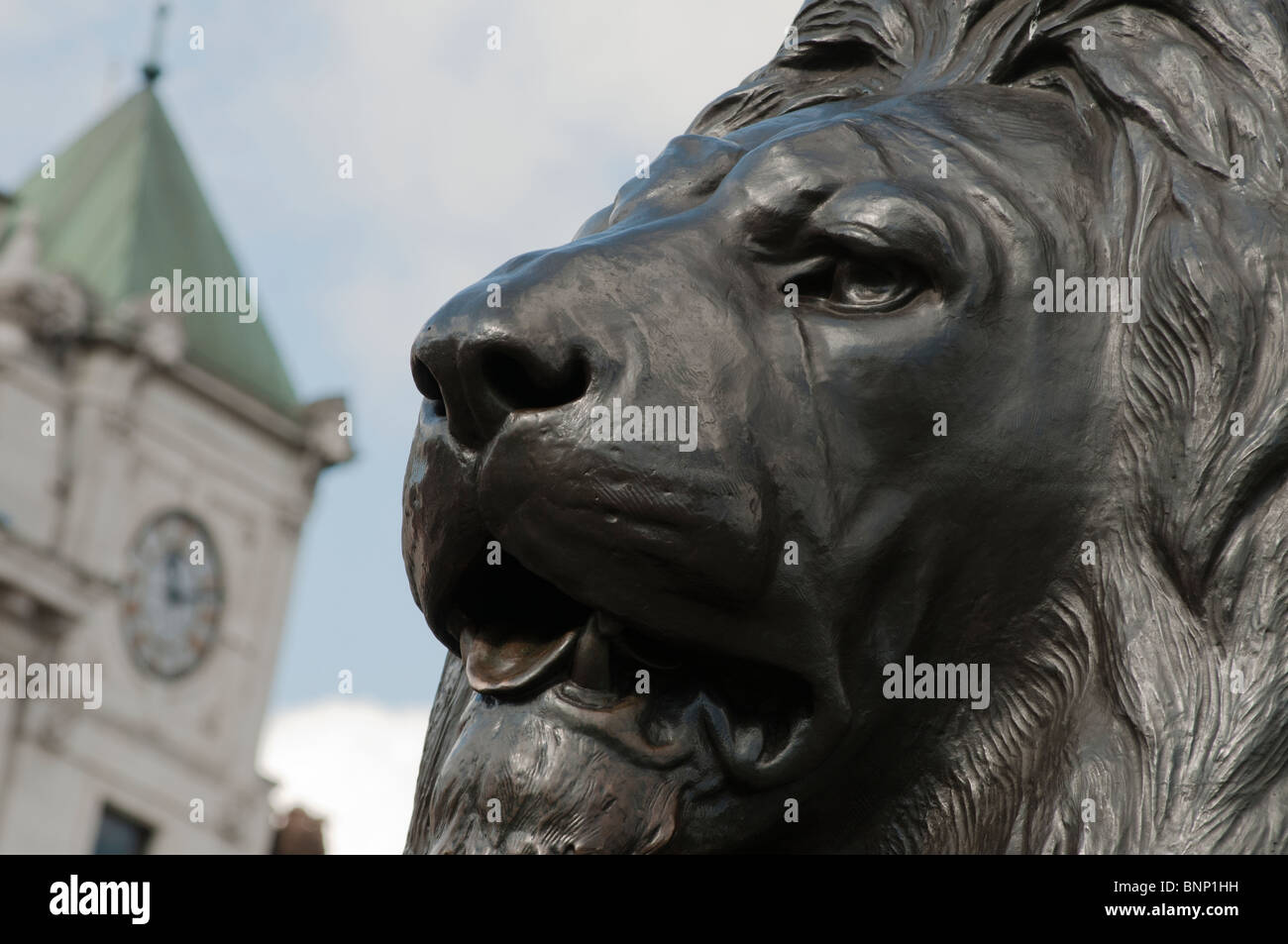 Trafalgar Square Lion Stock Photo - Alamy