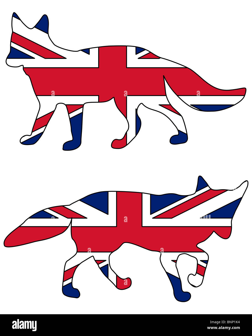 England fox Cut Out Stock Images & Pictures - Alamy