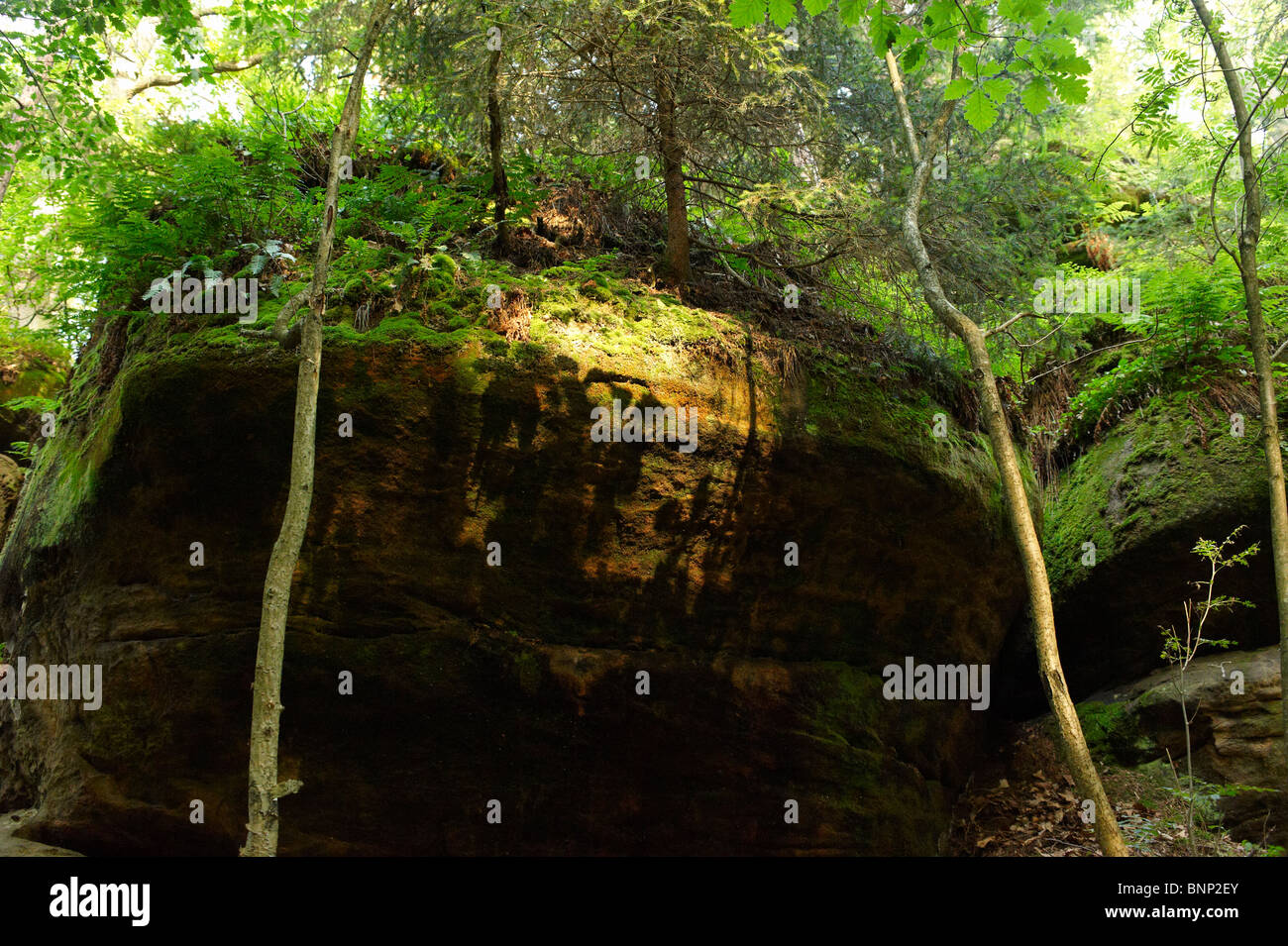 Peklo National Nature Monument Czech Republick Ceska Lipa Stock Photo ...