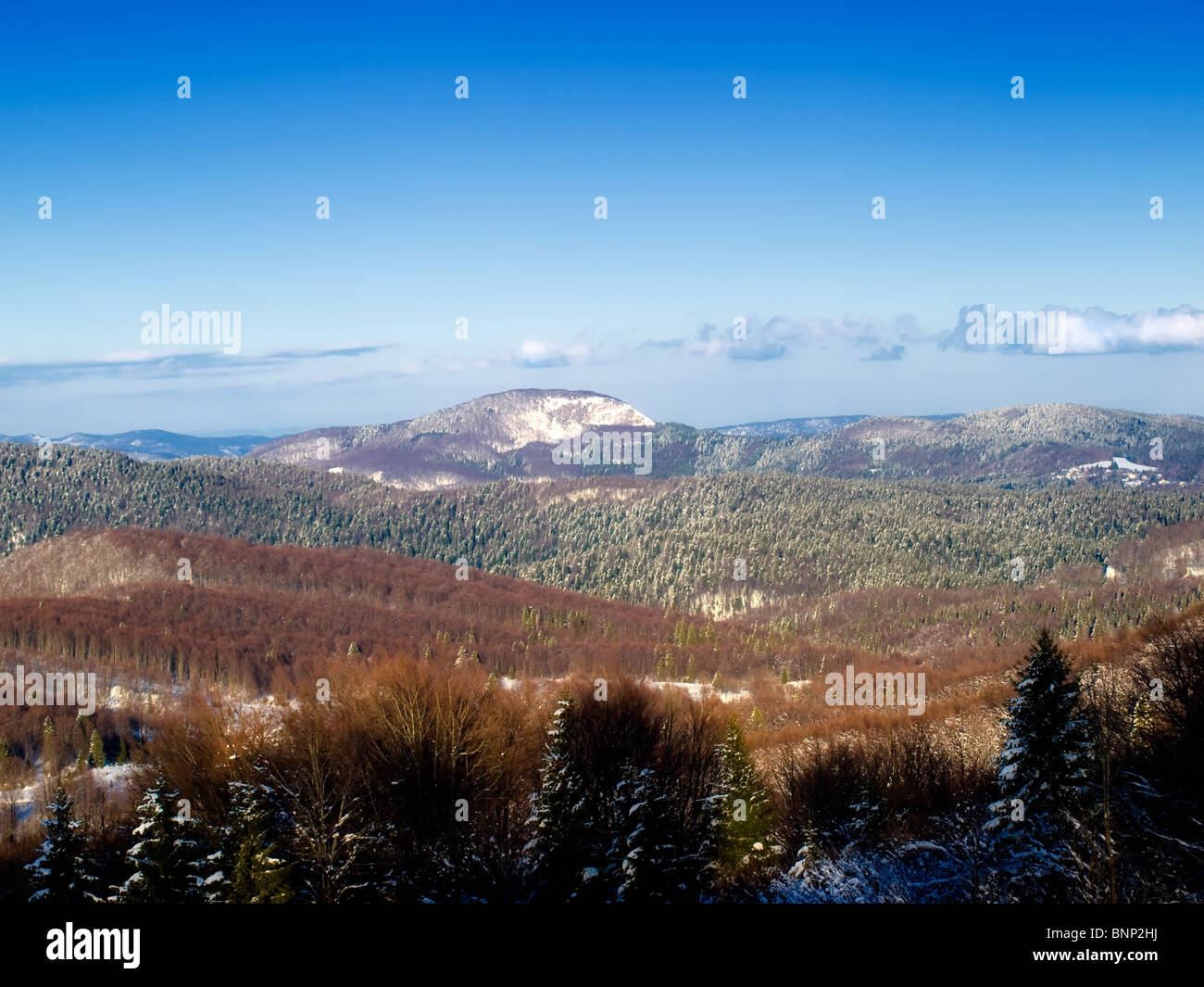 Winter landscape with the blue clear sky somewhere in Europe Stock ...