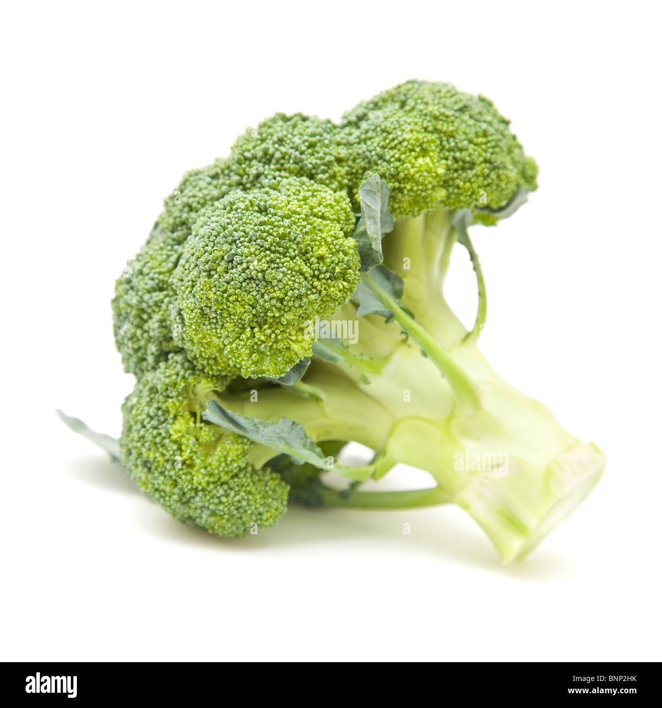 single broccoli head isolated on white background Stock Photo - Alamy