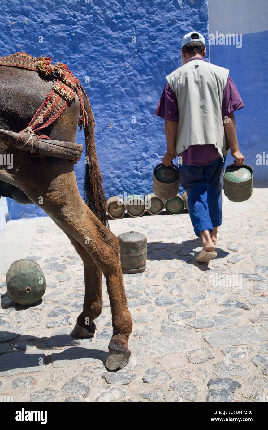 Delivering with a donkey, Chefchaouen, Morocco Stock Photo - Alamy