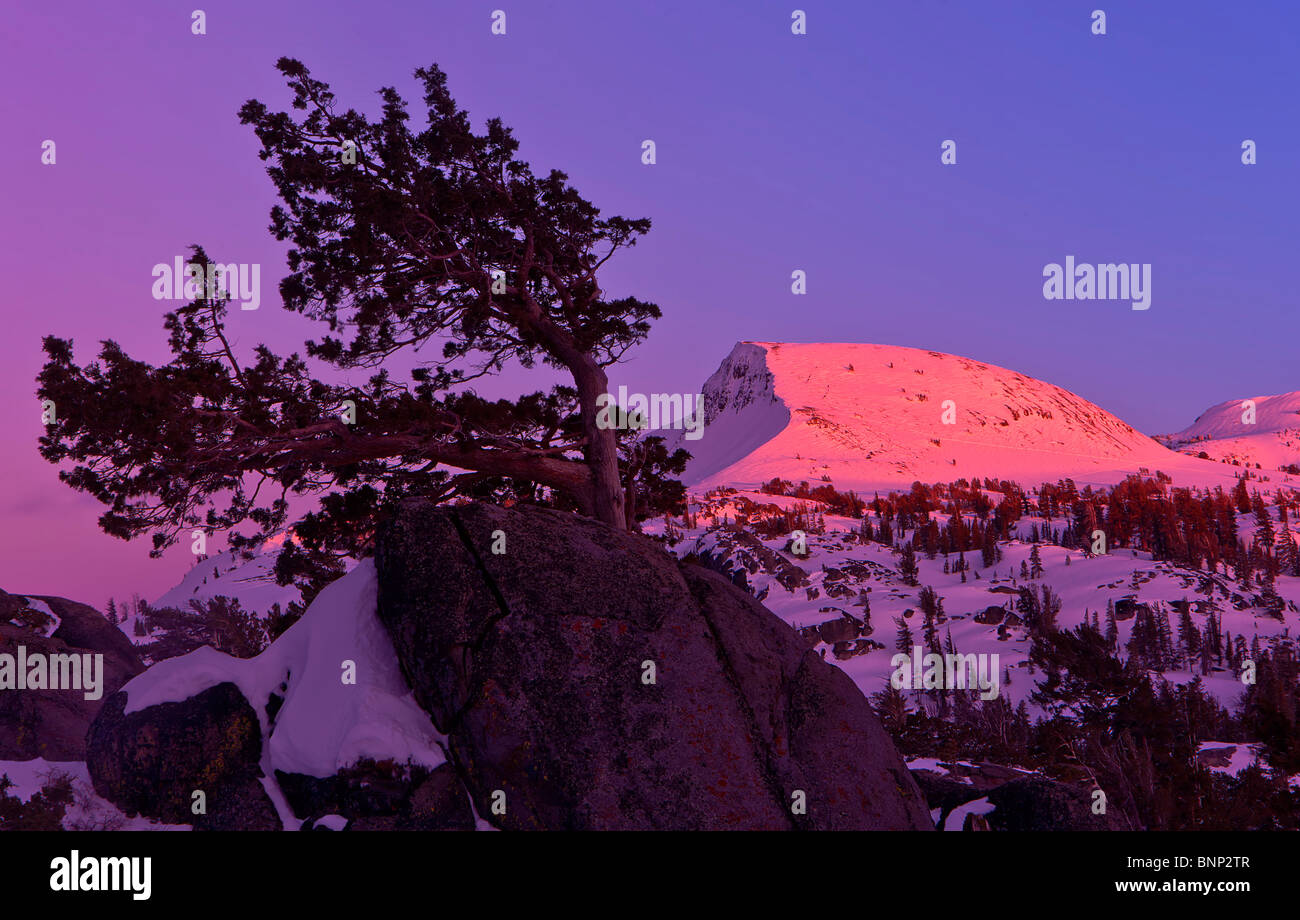Alpenglow on peak, Carson Pass, Mokelumne Wilderness, California, USA ...