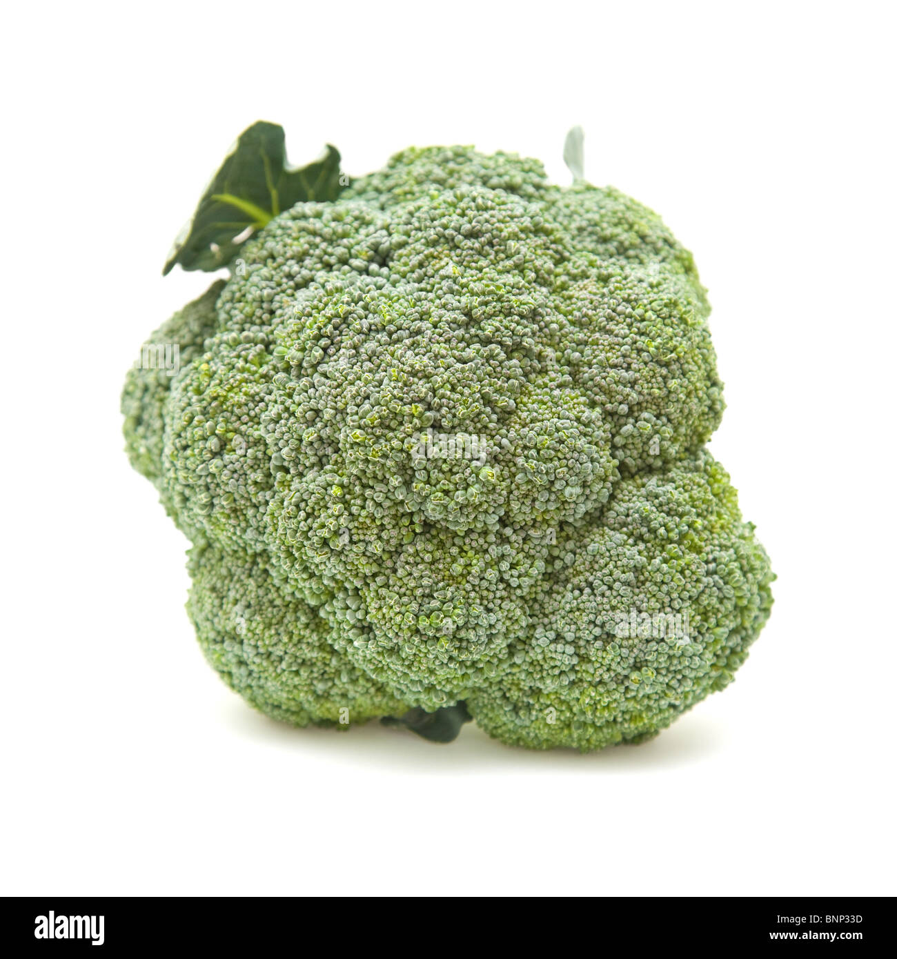 single broccoli head isolated on white background Stock Photo - Alamy