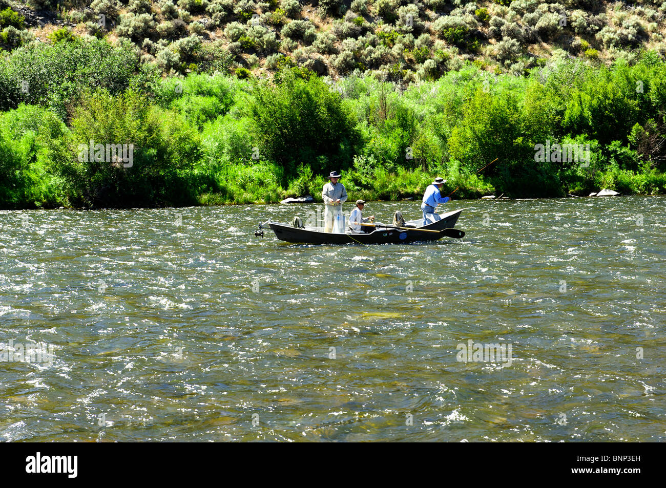 Guided fly fishing from a float boat, Madison River, Montana Stock ...