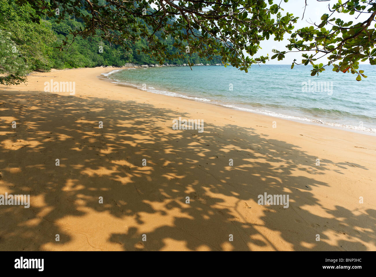 tropical monkey bay at tioman island, malaysia Stock Photo - Alamy