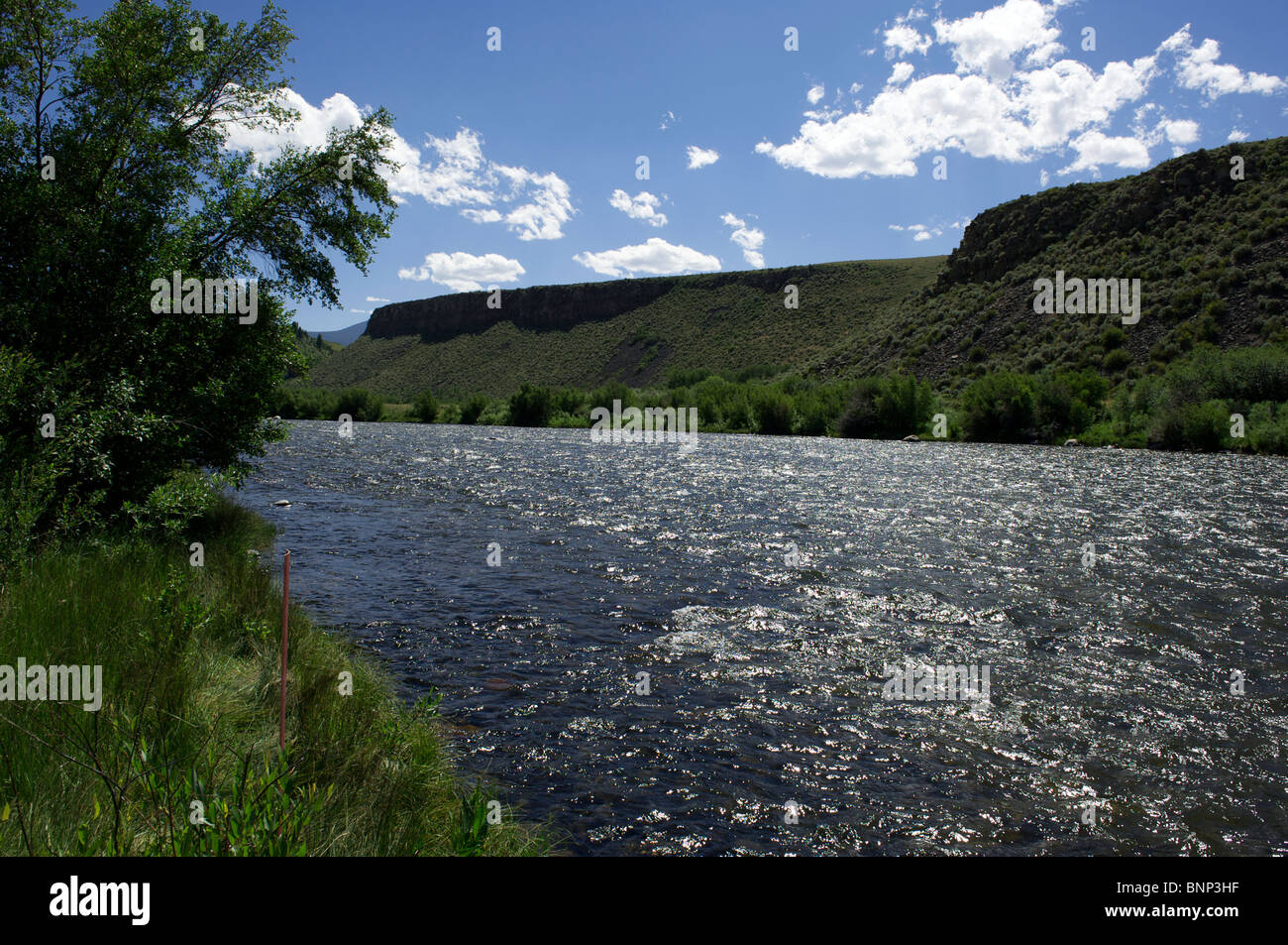 Madison river montana hi-res stock photography and images - Alamy