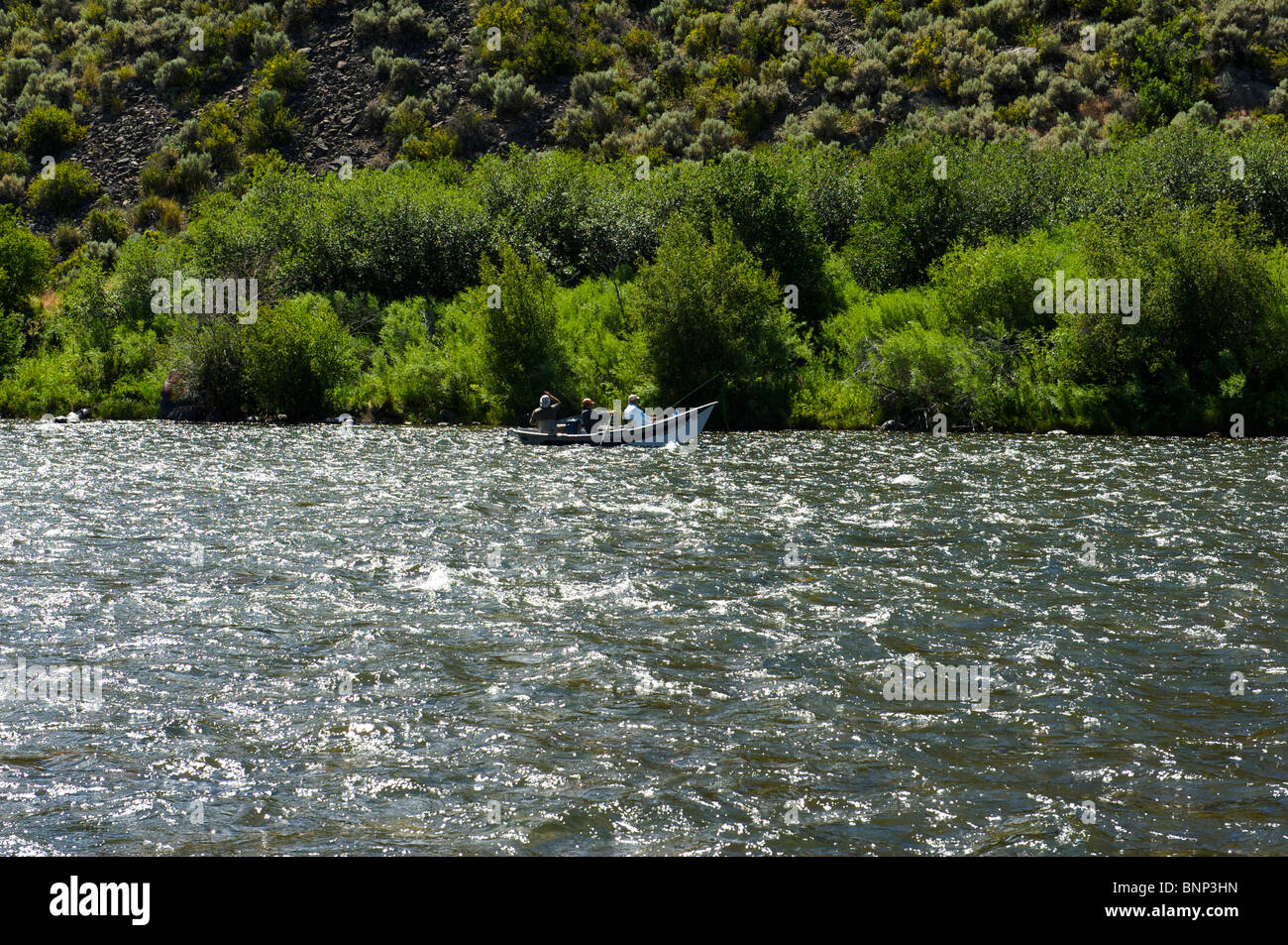 Guided fly fishing from a float boat, Madison River, Montana Stock ...