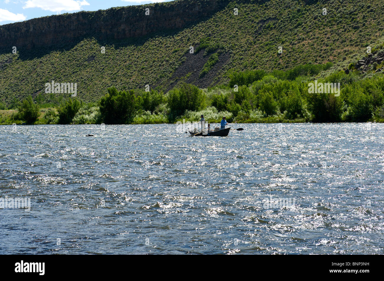 Guided fly fishing from a float boat, Madison River, Montana Stock ...