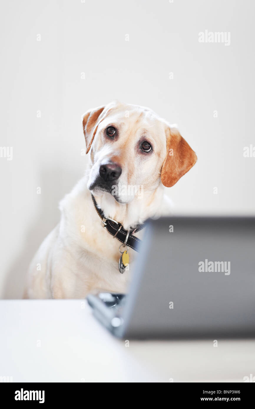 Confused Vertical High Resolution Stock Photography and Images - Alamy