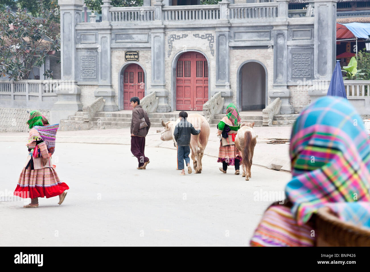 street scene with flower hmong minority people, bac ha, Vietnam Stock ...