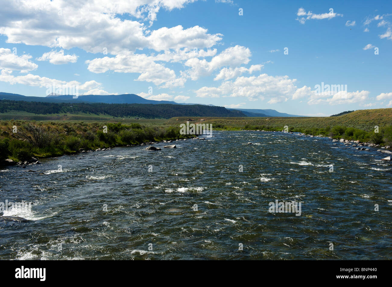Madison River, Montana at the Three Dollar Bridge Stock Photo - Alamy