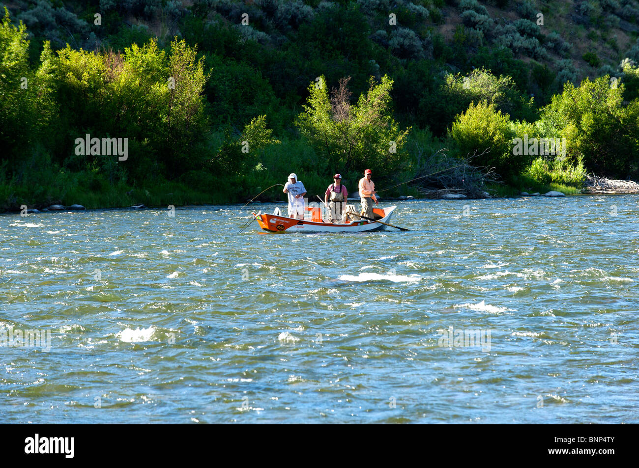 Guided fly fishing from a float boat, Madison River, Montana Stock ...