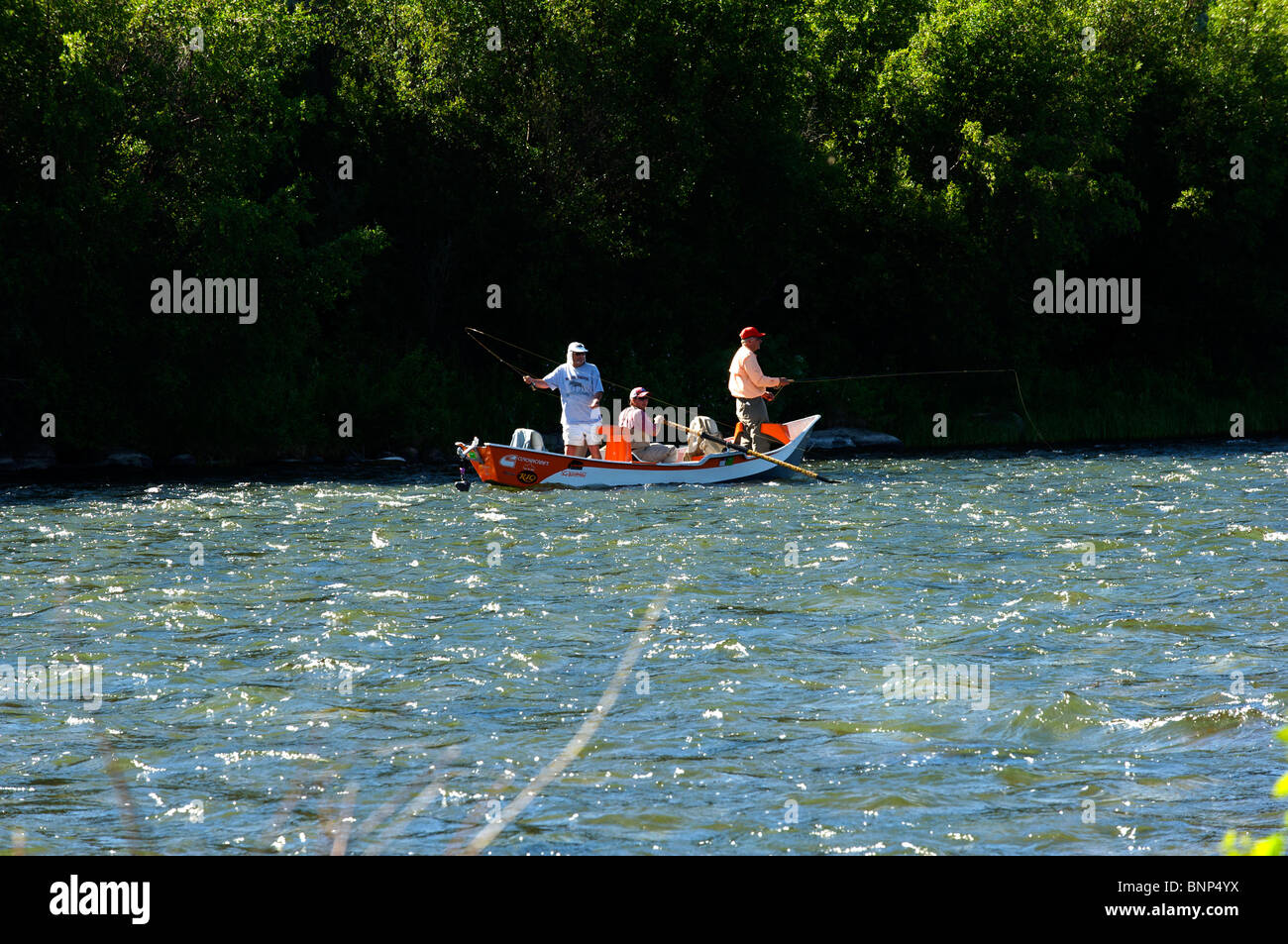 Guided fly fishing from a float boat, Madison River, Montana Stock ...