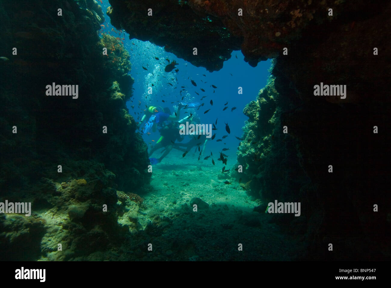 Underwater tunnel and divers on the other end Stock Photo - Alamy