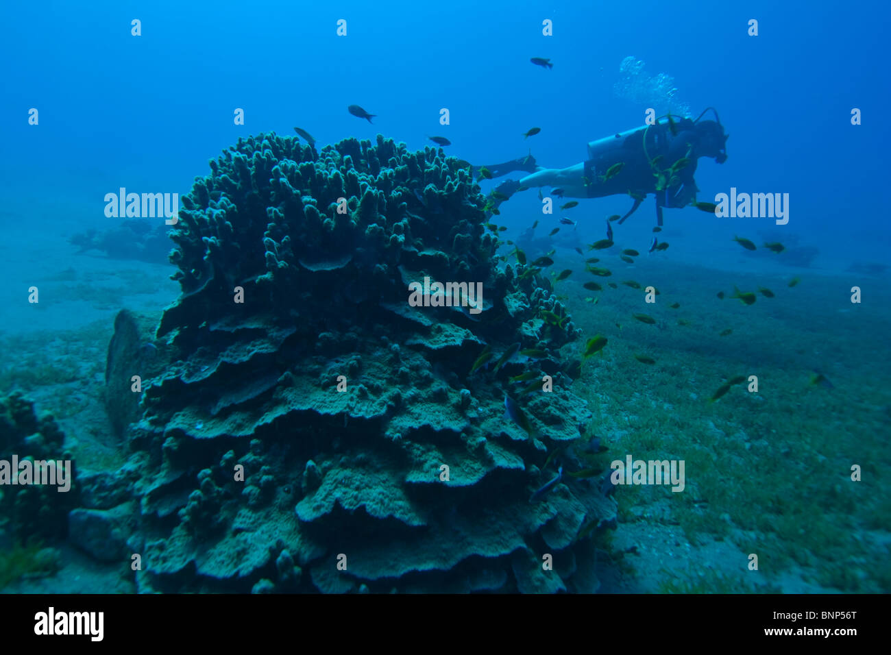 100 feet deep hi-res stock photography and images - Alamy