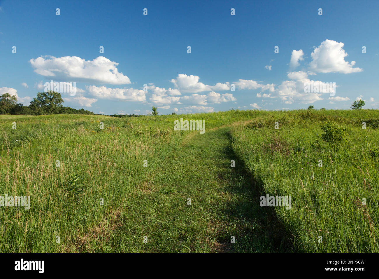 Mowed path through prairie. Nachusa Grasslands Preserve, Illinois Stock ...