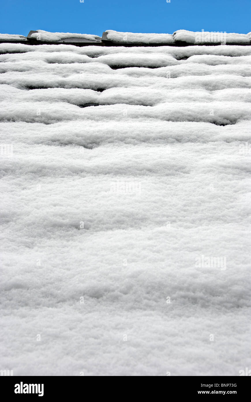 Roof Lining - Example of strength of primary colours in this case blue ...