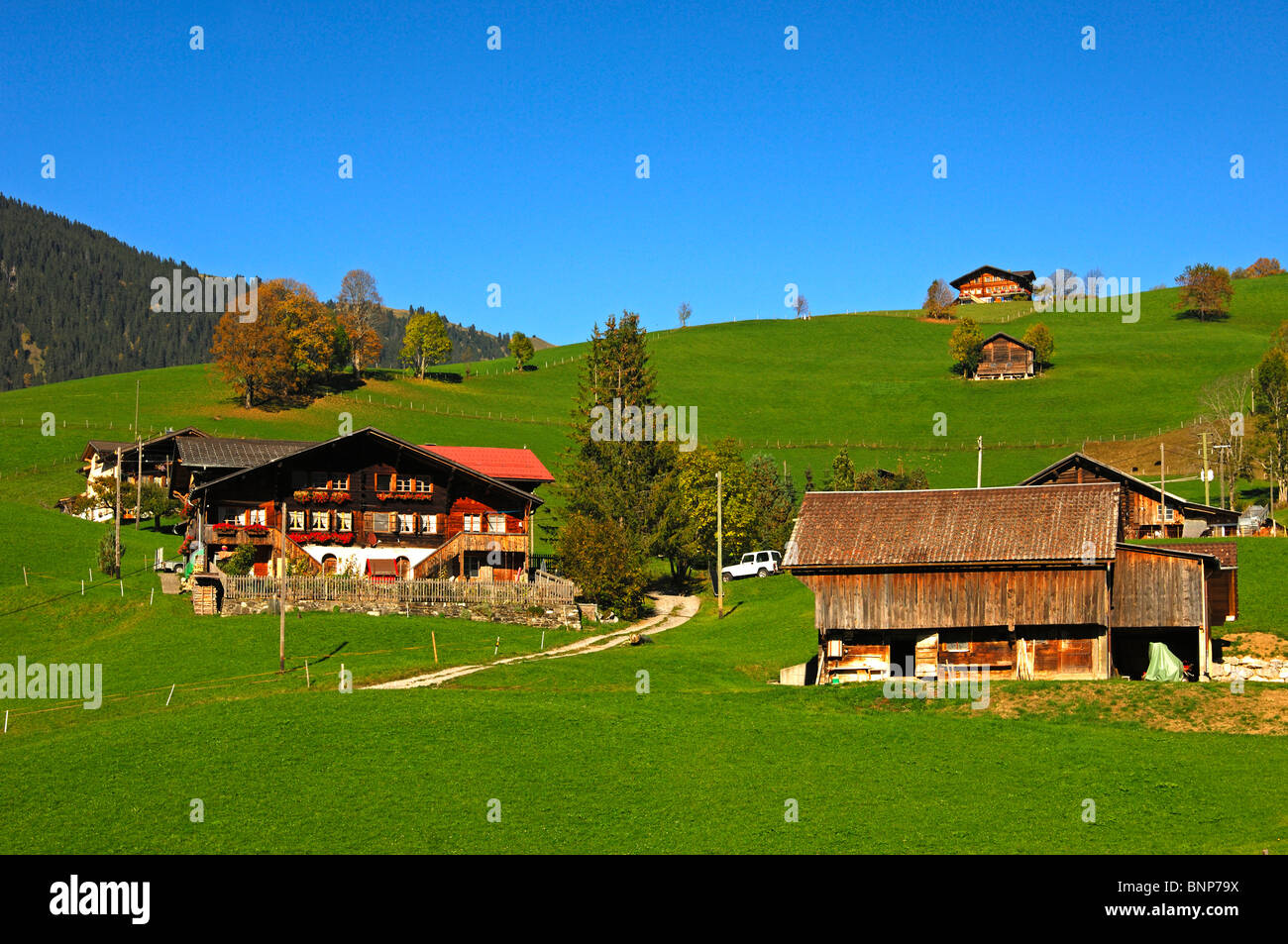 Traditional farm house in a rolling autumn landscape near Gstaad in the ...