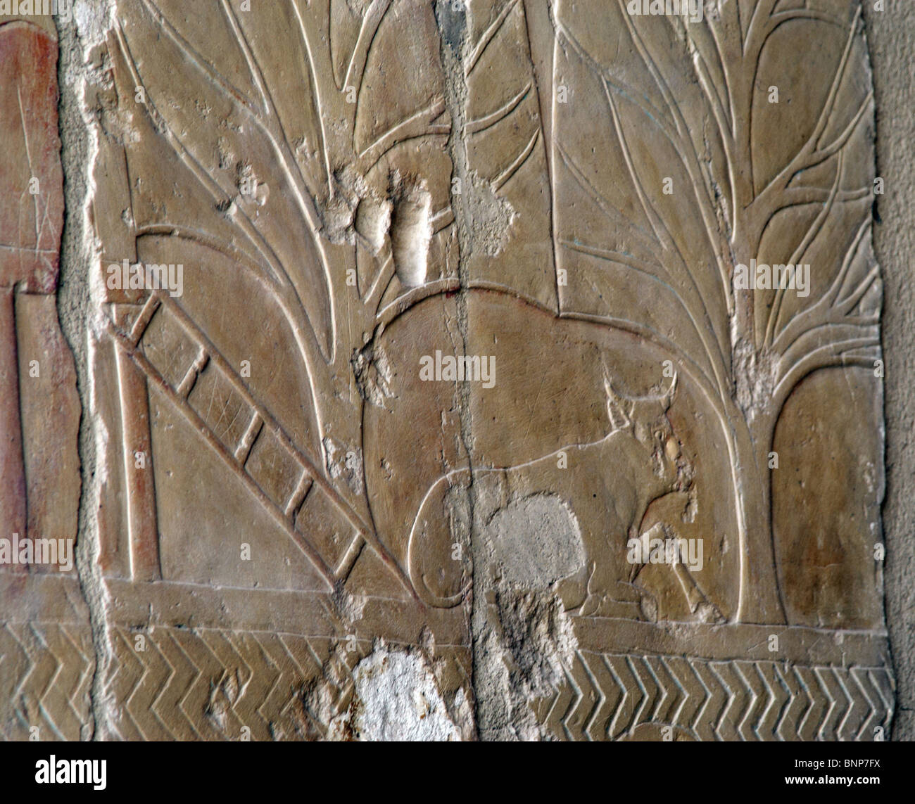 The Land of Punt. Temple of Hatshepsut. C. 1490 b.C.18th Dynasty. New ...
