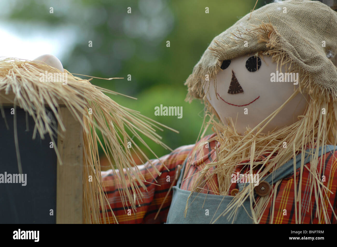 Humorous crow hi-res stock photography and images - Alamy