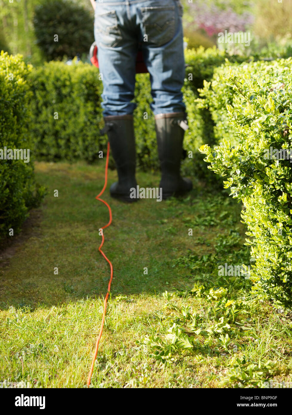 Hedge trimmer cable hi-res stock photography and images - Alamy