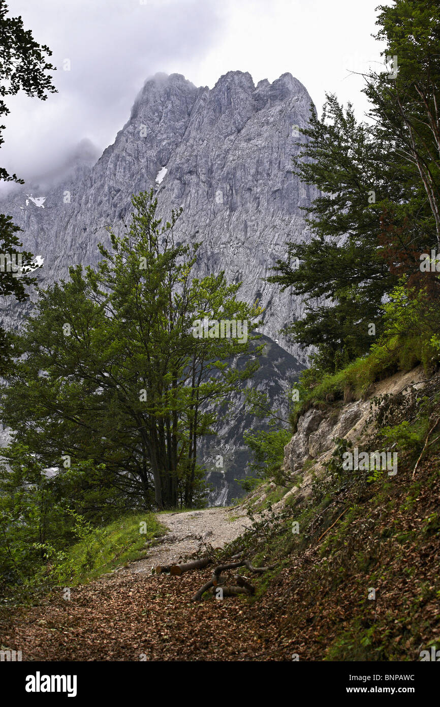 The Wild Emperor, Tyrol Austria Stock Photo - Alamy