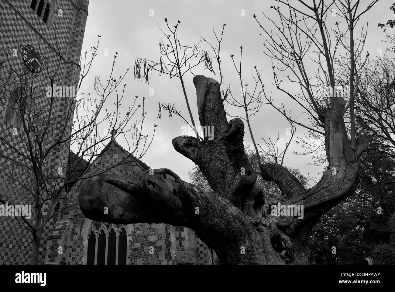 Reading church hi-res stock photography and images - Alamy