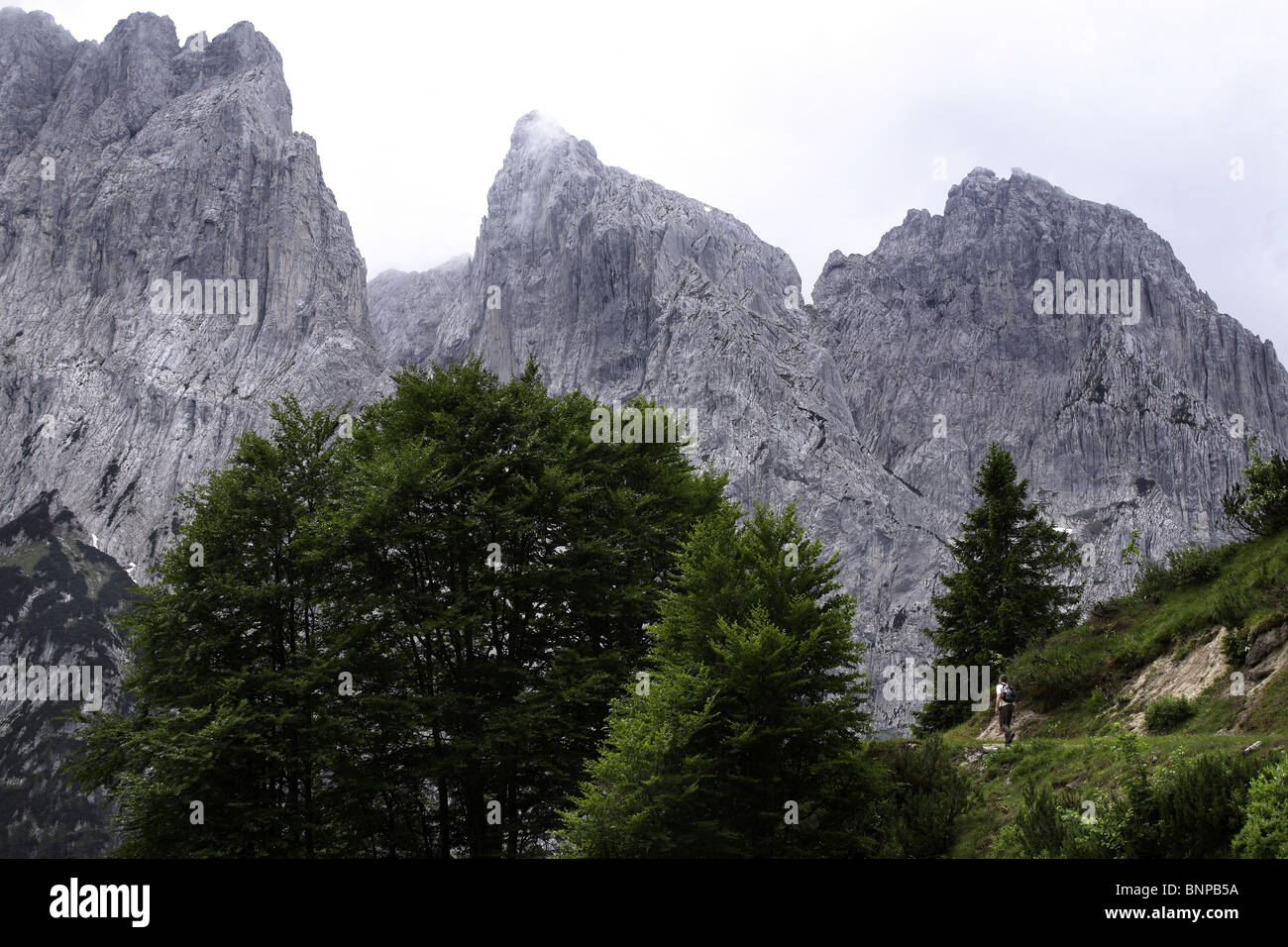 The Wild Emperor, Tyrol Austria Stock Photo - Alamy