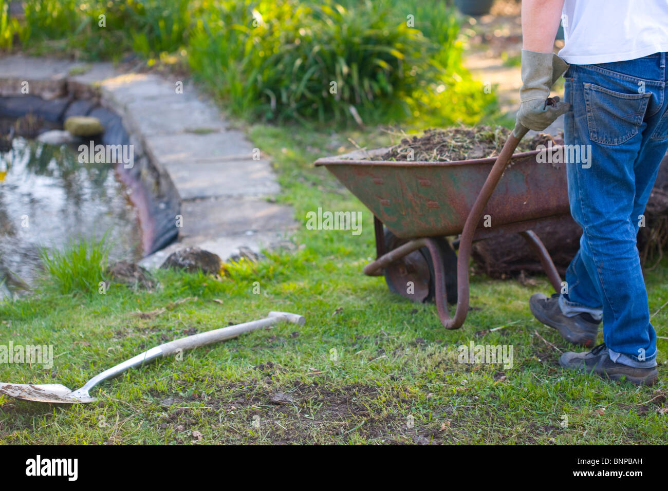 Back view of a man pushing a wheelbarrow, headless Stock Photo - Alamy