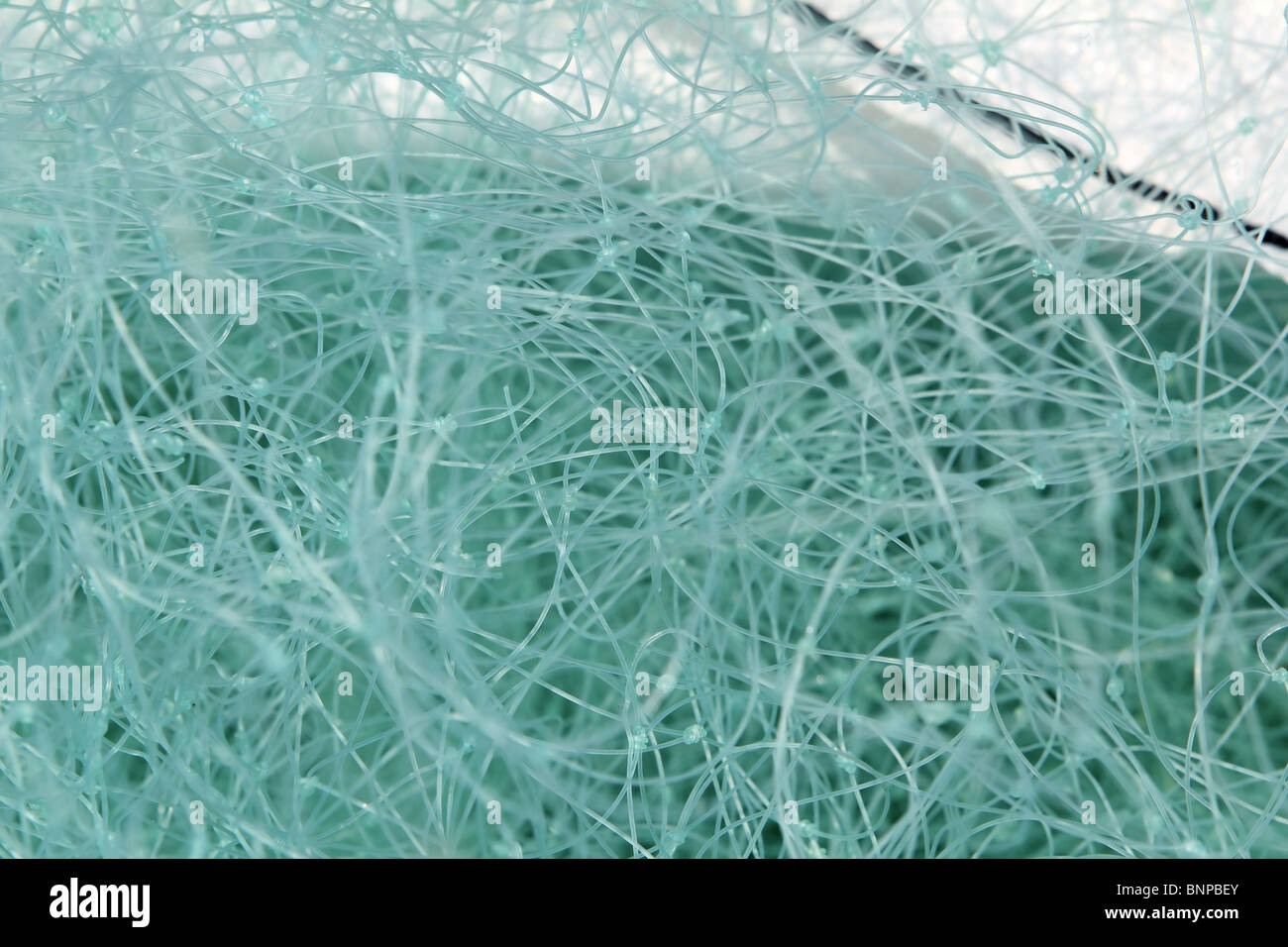 Professional fishermen hi-res stock photography and images - Alamy