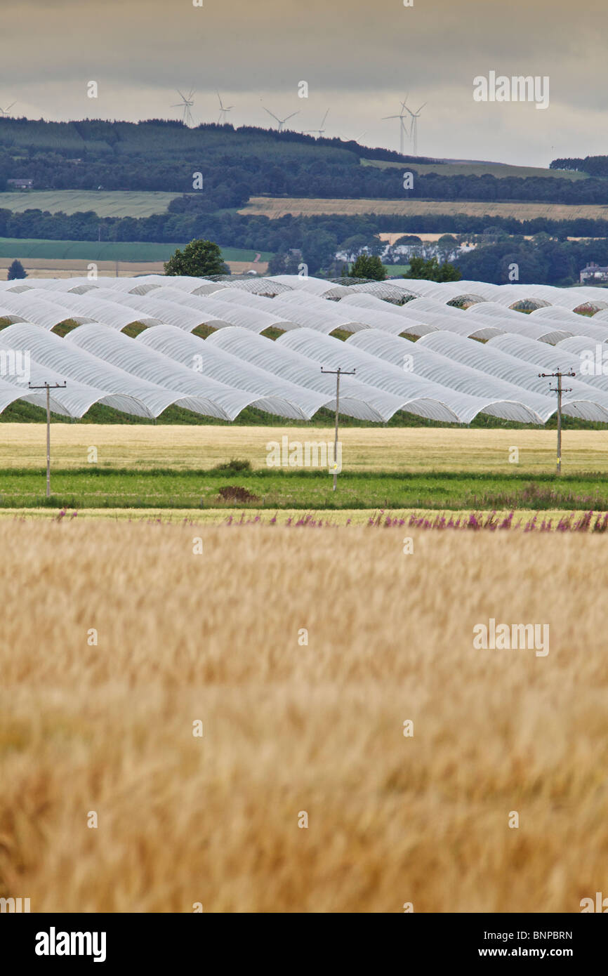 Perthshire farming landscape scene Stock Photo - Alamy
