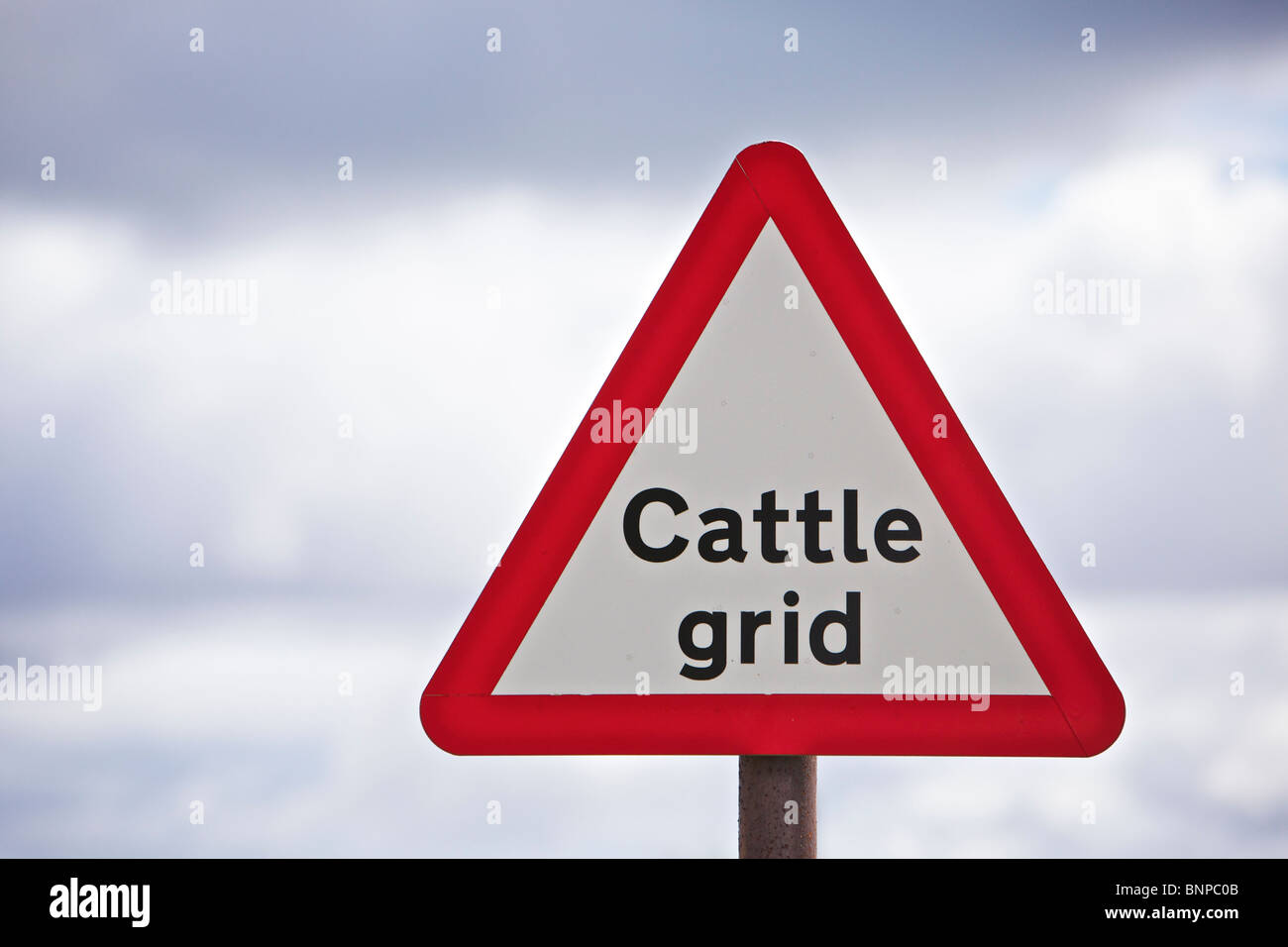Cattle grid road sign Stock Photo - Alamy