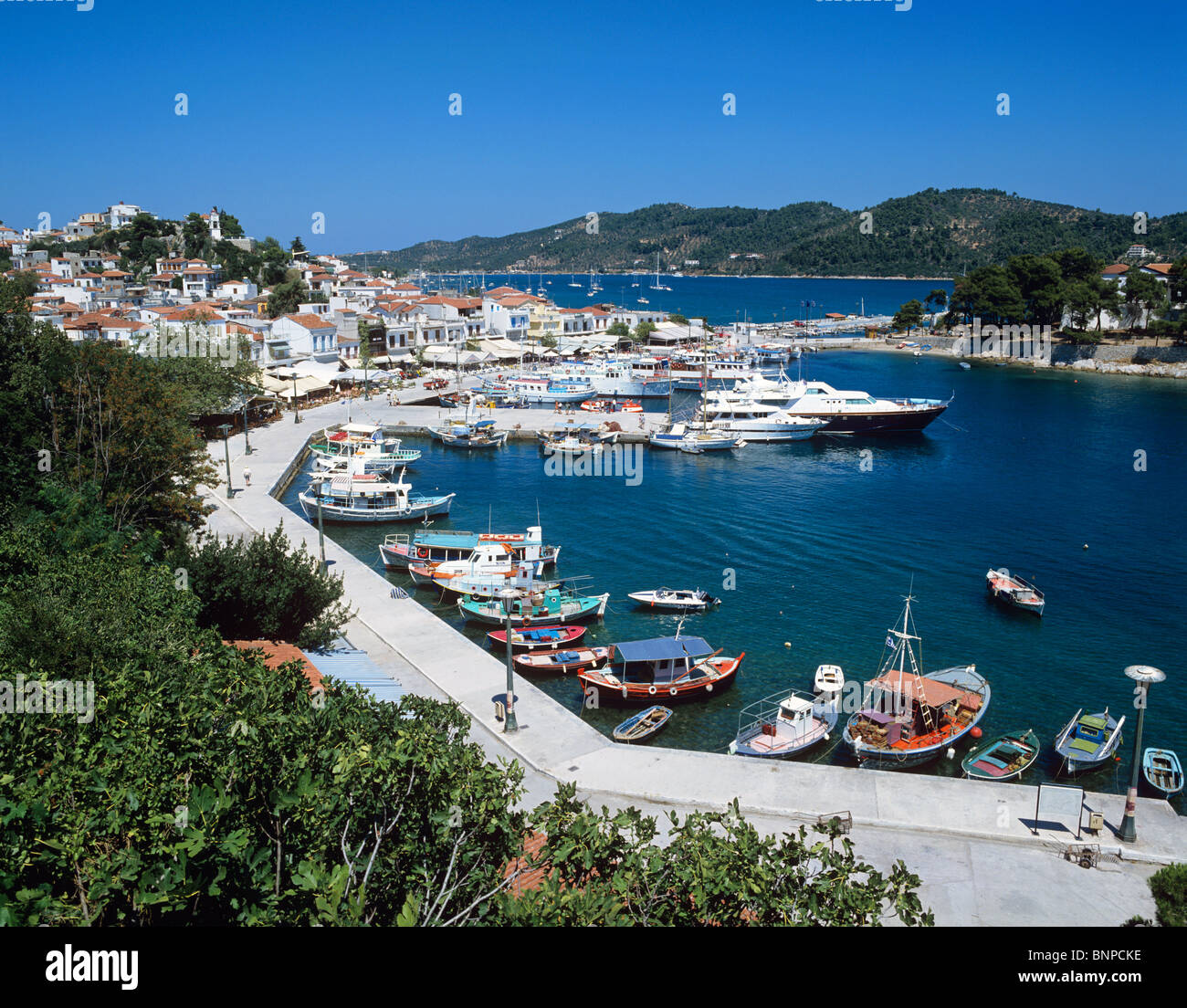 View of the harbour waterfont of Skiathos Town Stock Photo - Alamy