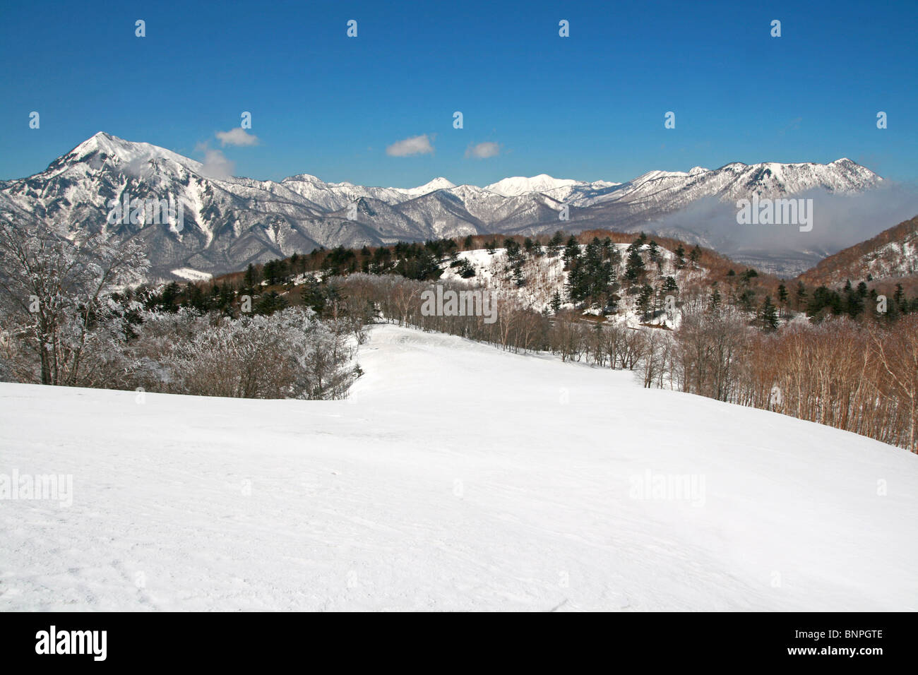 Japanese winter scene Stock Photo - Alamy