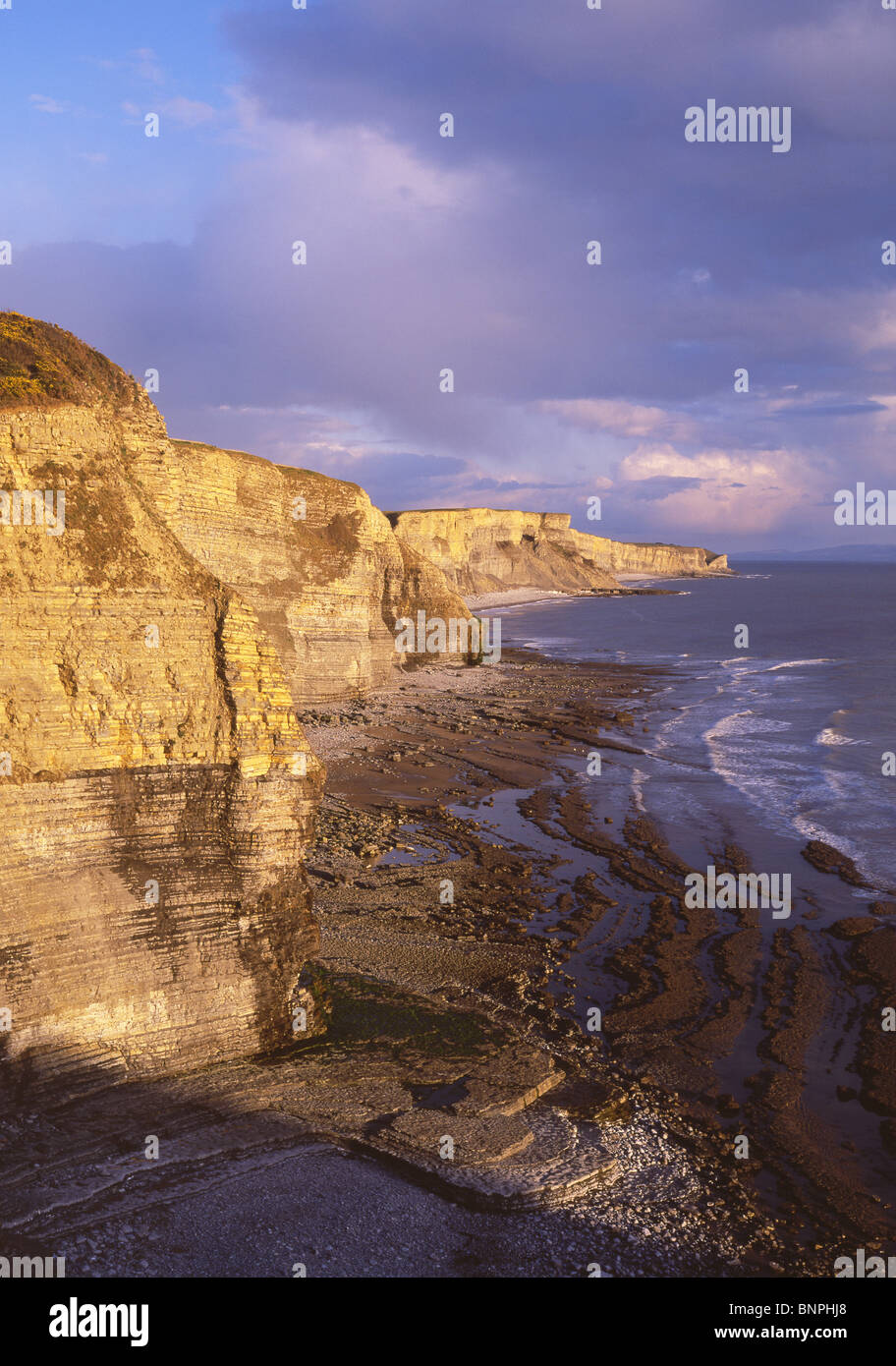 Cliffs at Traeth Mawr beach Near Southerndown Vale of Glamorgan South ...