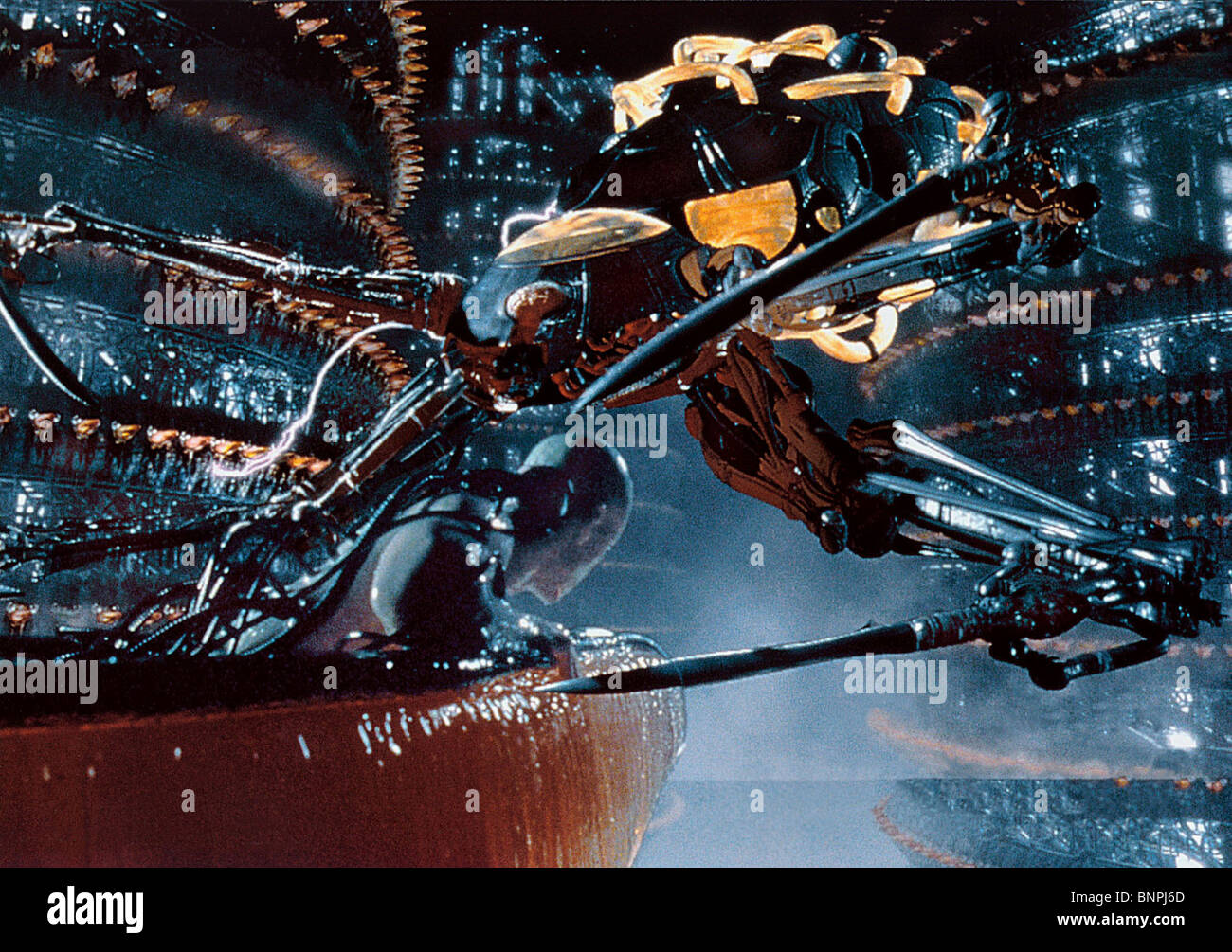 The Matrix Film, 1999 High Resolution Stock Photography and Images - Alamy