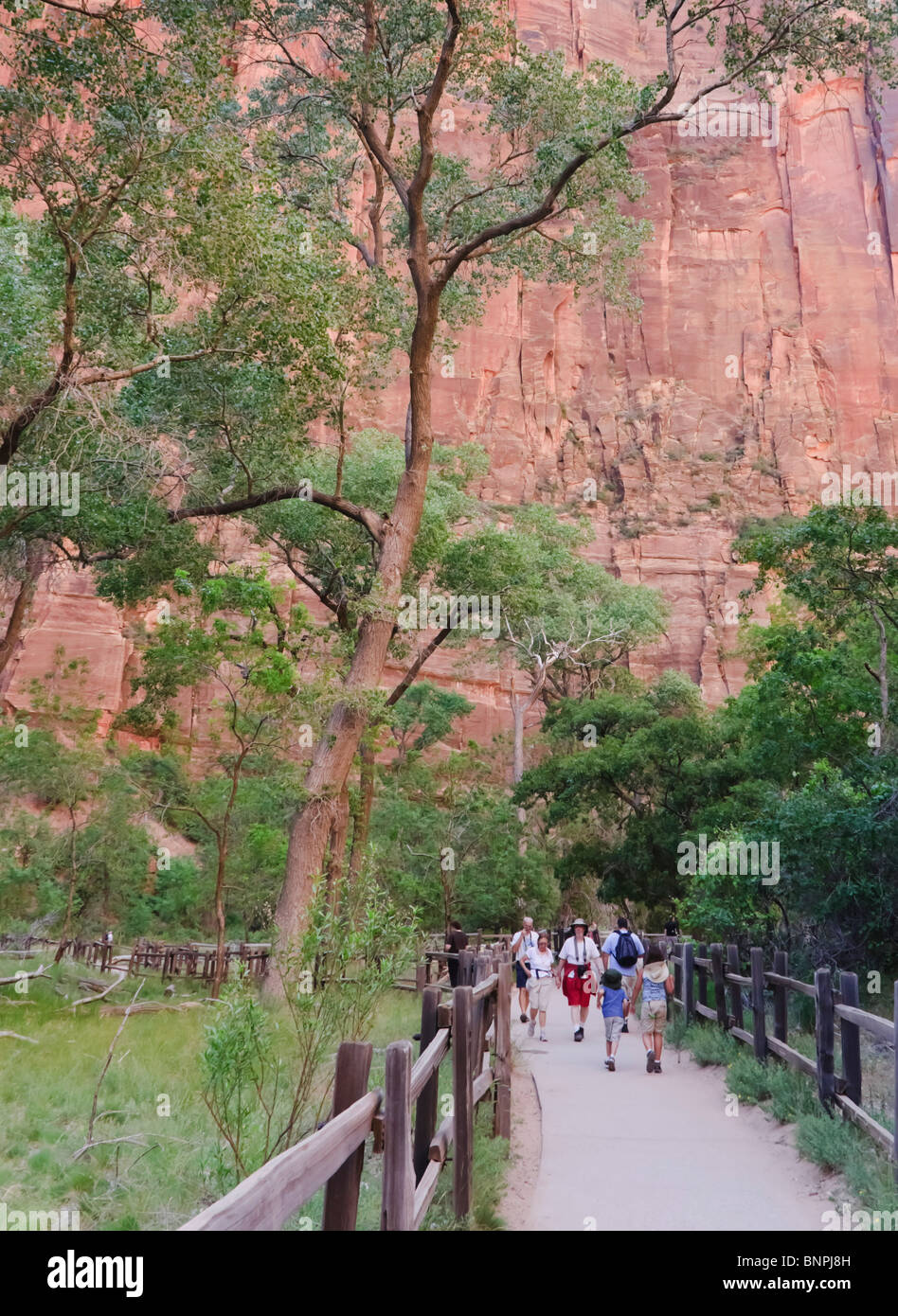 Family hiking zion national park hi-res stock photography and images ...