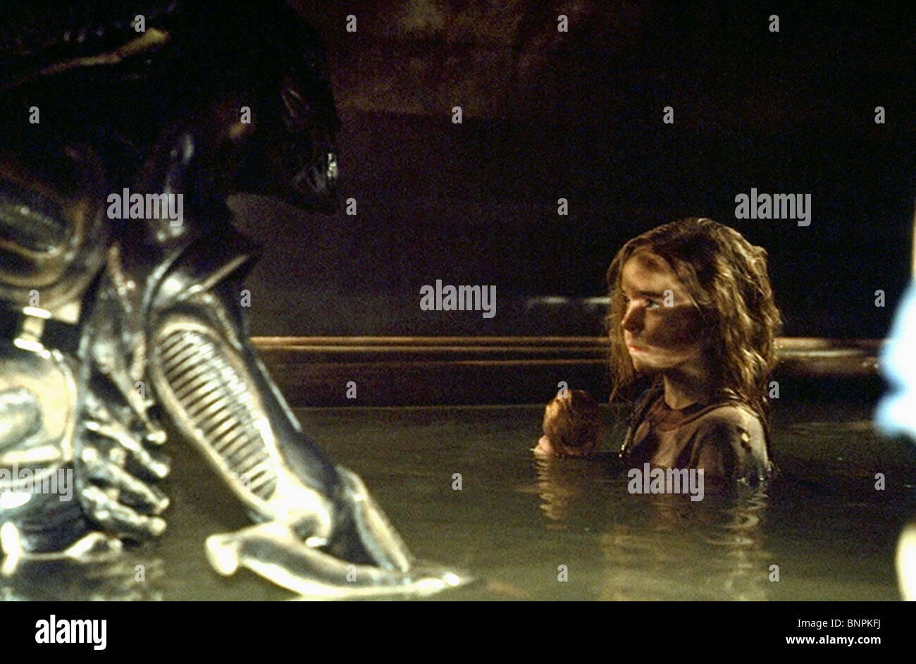 Carrie Henn High Resolution Stock Photography and Images - Alamy