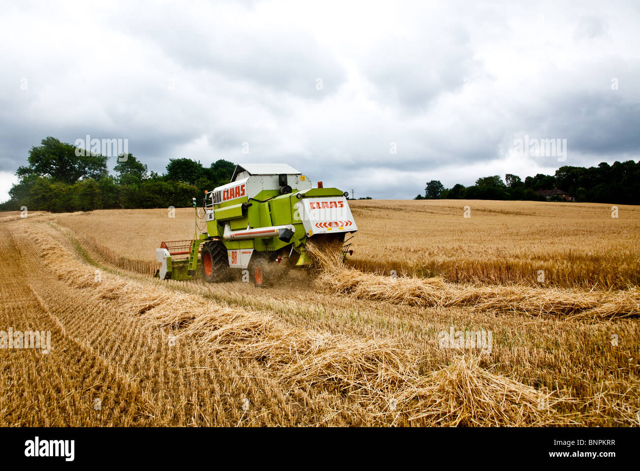 Combine harvester combining barley in hi-res stock photography and ...